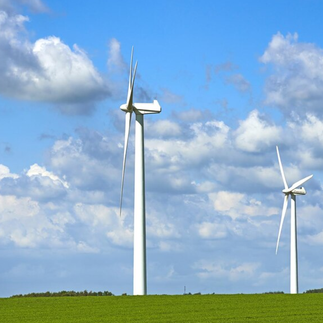 AI Object Remover: Remove Object from Photo Instantly