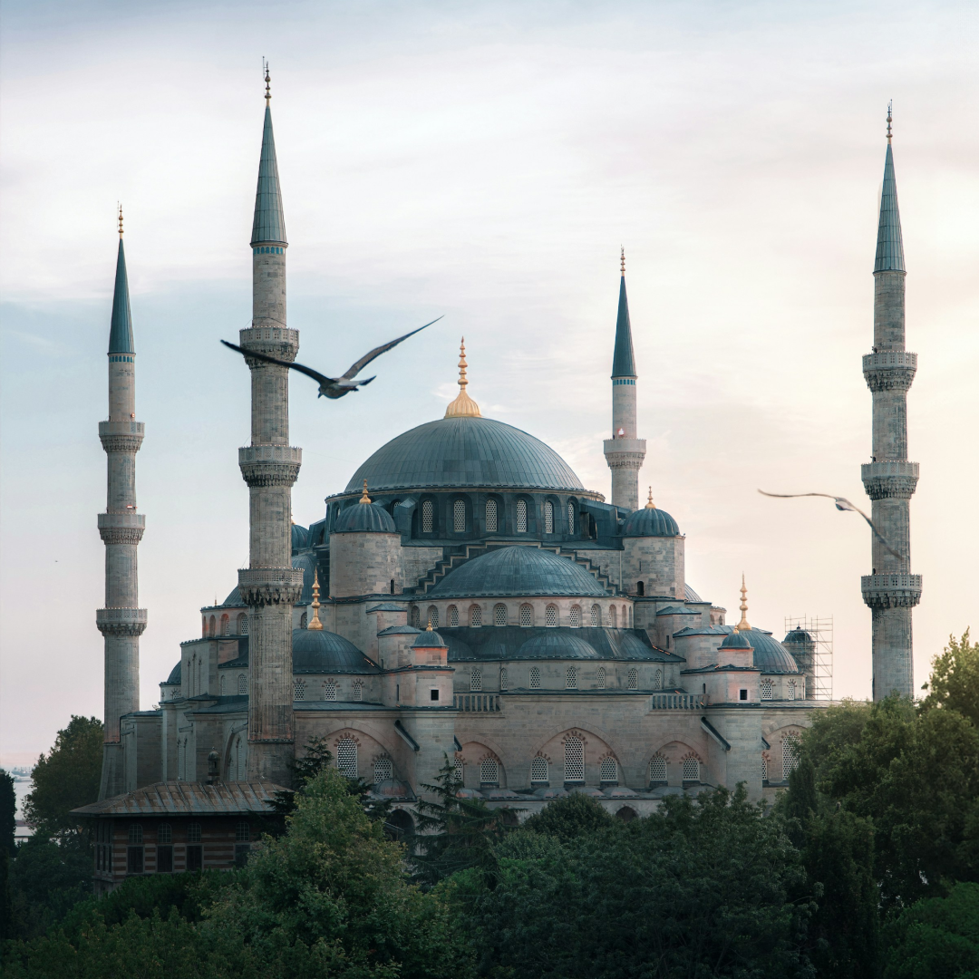 65c6fc55acefe40b762eaa5a