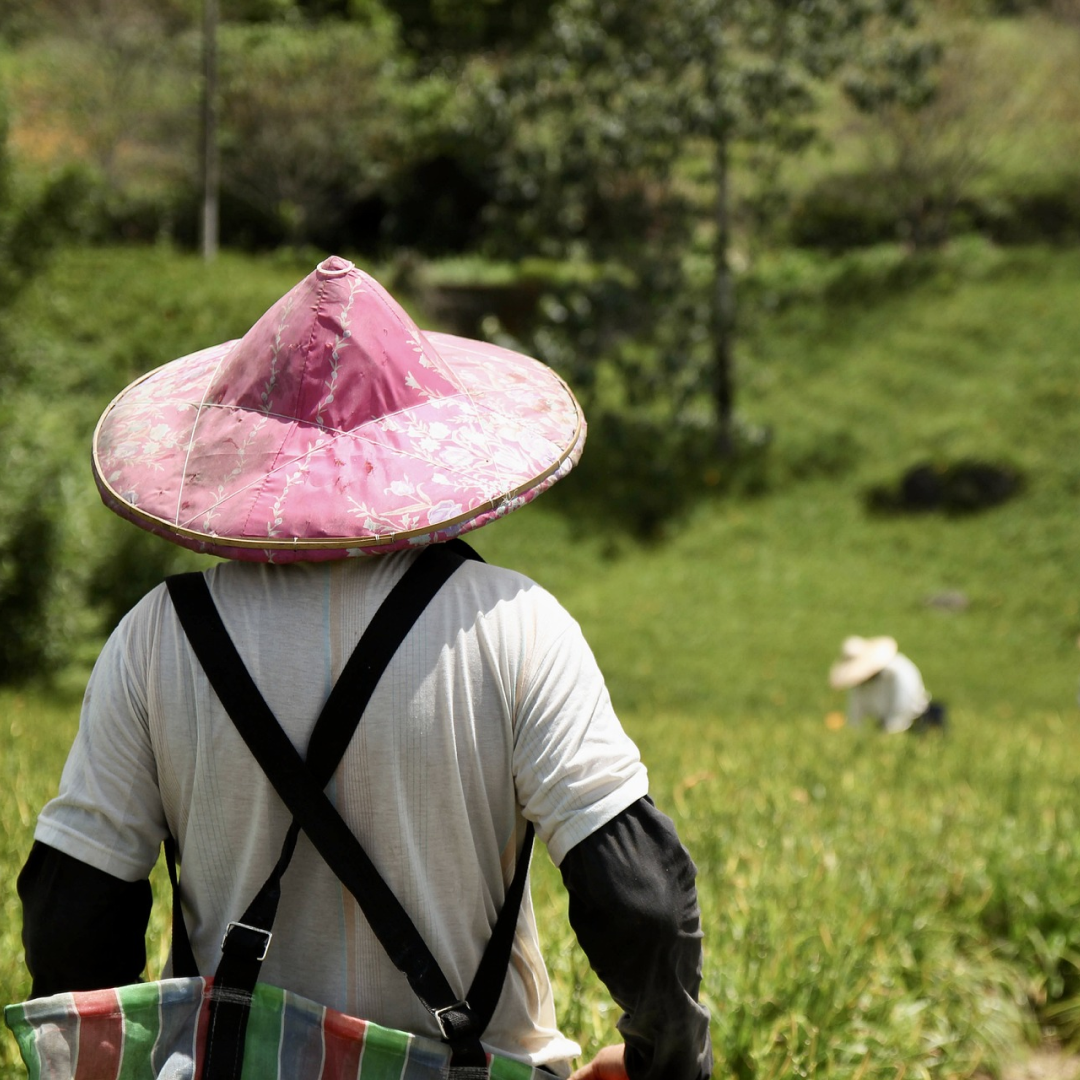 AI Object Remover: Remove Object from Photo Instantly