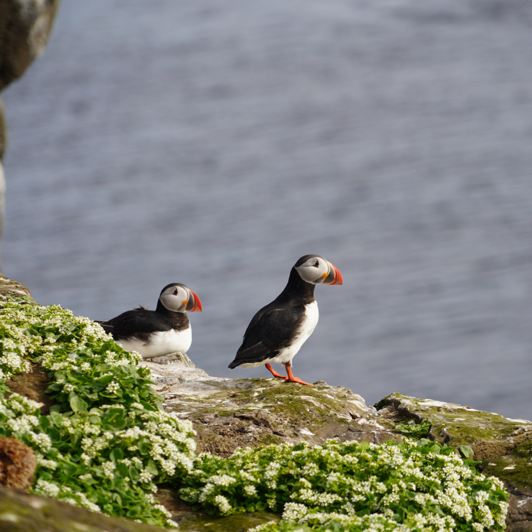 AI Object Remover: Remove Object from Photo Instantly