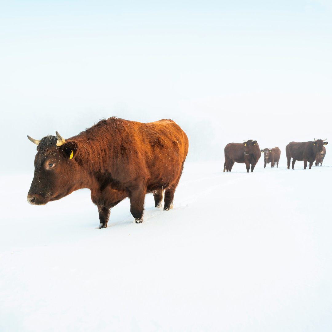 65c70222acefe40b762eaa62